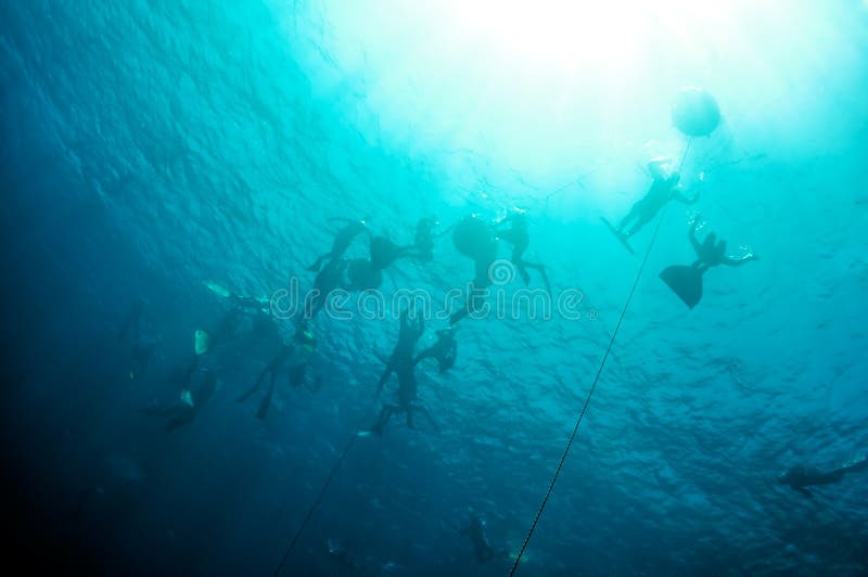 Underwater chain stock photo. Image of navy, ocean, peaceful - 4221124