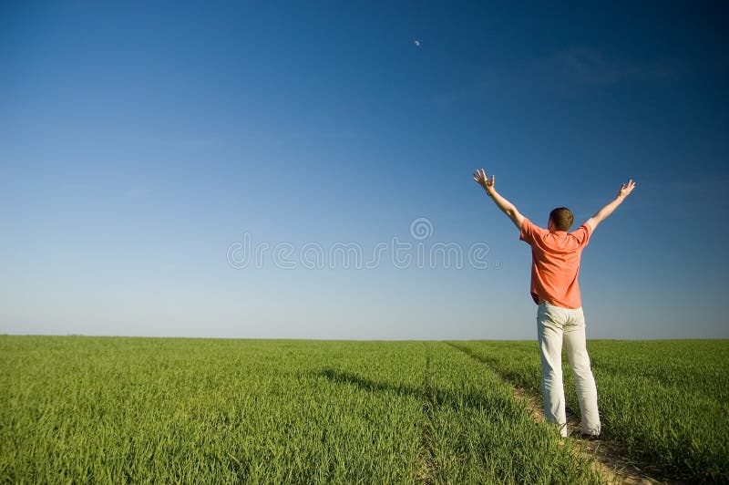 Freedom stock photo. Image of grass, open, independence - 11697366
