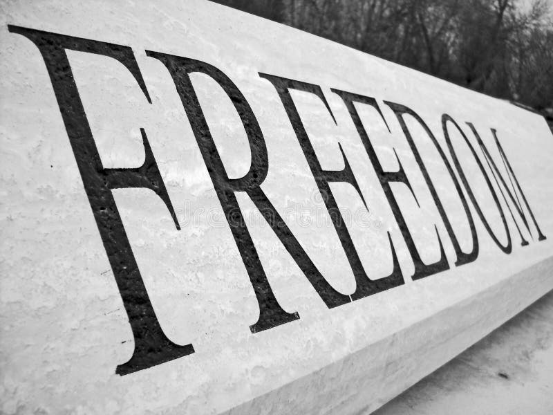 Freedom stock photo. Image of skies, floating, views, dreamstime - 110726