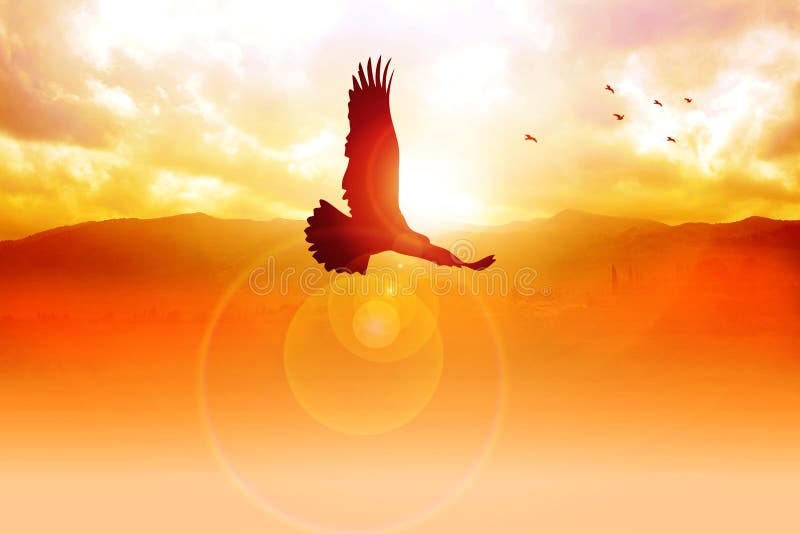 Freedom stock illustration. Illustration of freedom, light - 25252000