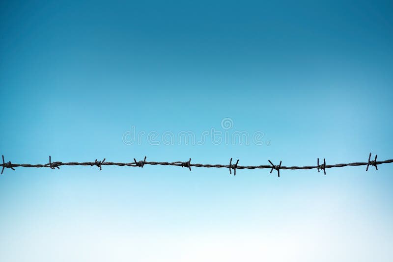 Freedom stock photo. Image of barbed, razor, fence, peace - 3934092