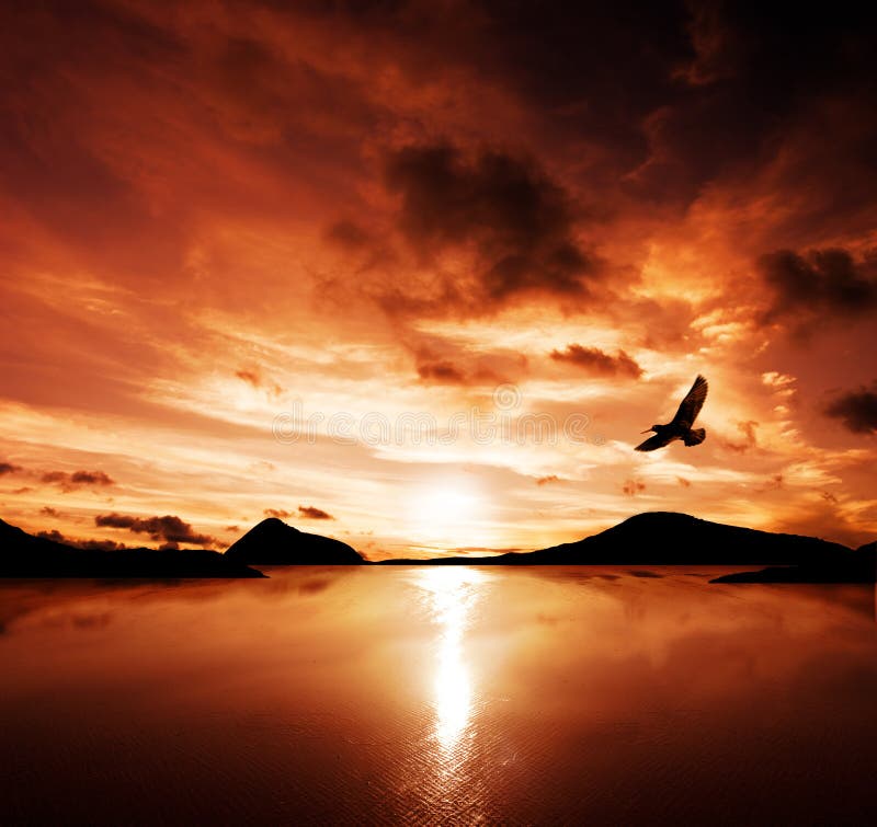 Freedom stock photo. Image of landscape, clouds, christianity - 4546660