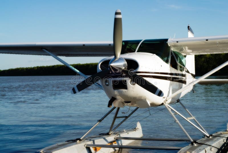 Freedom stock photo. Image of airplane, freedom, plane - 5561076