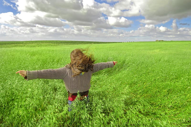 Freedom stock photo. Image of horizontal, lush, landscape - 9227206