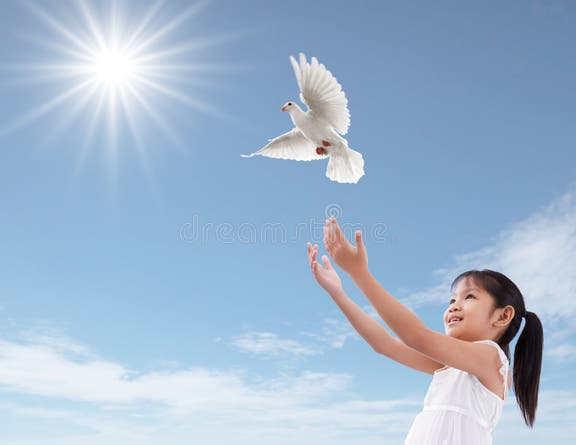 Freedom stock photo. Image of bird, freedom, smiling, pigeon - 9716074