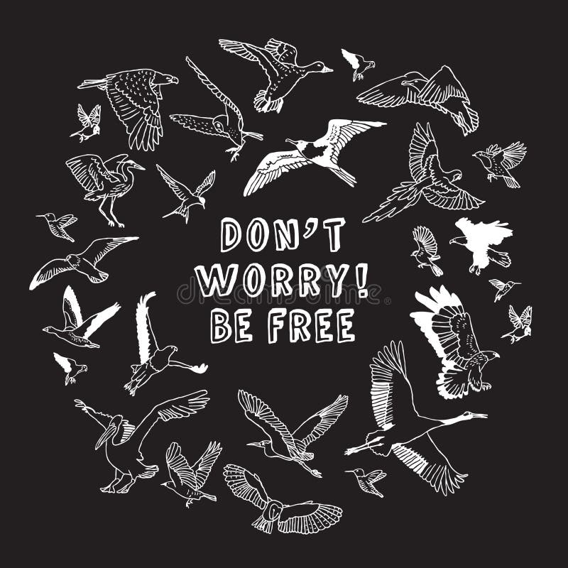 Fly Birds Frame Border Color Isolate on White Stock Vector ...