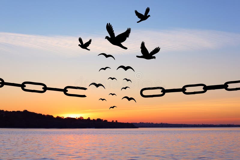 Freedom. Silhouettes of Broken Chain and Birds Flying Outdoors at ...