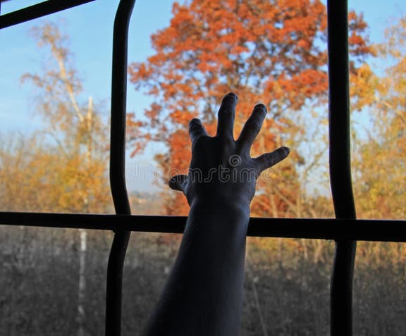 Freedom denied stock photo. Image of locked, prison, border - 22161238