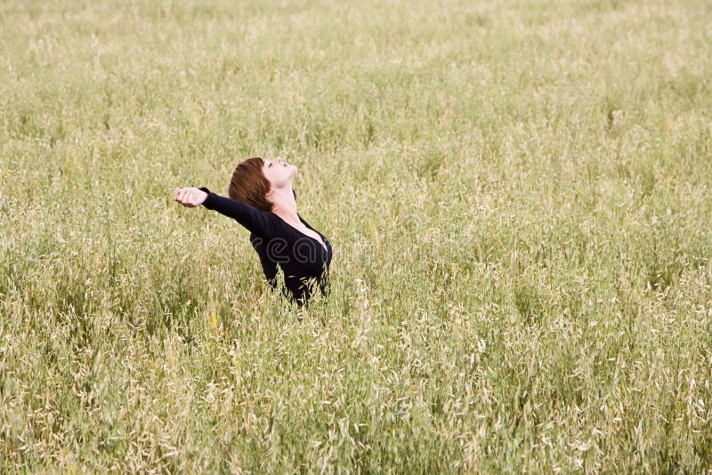 Freedom on the field stock image. Image of expressions - 5299809