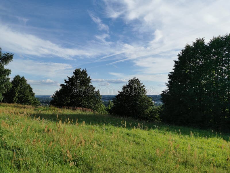 Freedom! Green Area Field in Dmitrov Stock Image - Image of plant, area ...