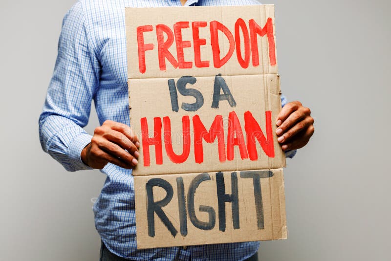 Freedom is a Human Right Placard in Hands of Protester Stock Image ...