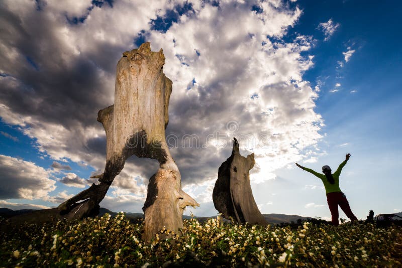 Man in freedom stock photo. Image of sunshine, view, freedom - 19010306