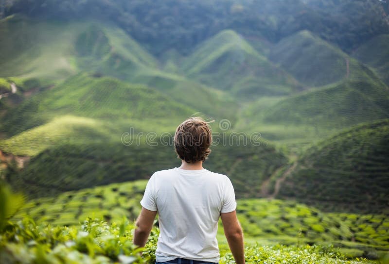 Freedom man in mountains stock photo. Image of highland - 52045158