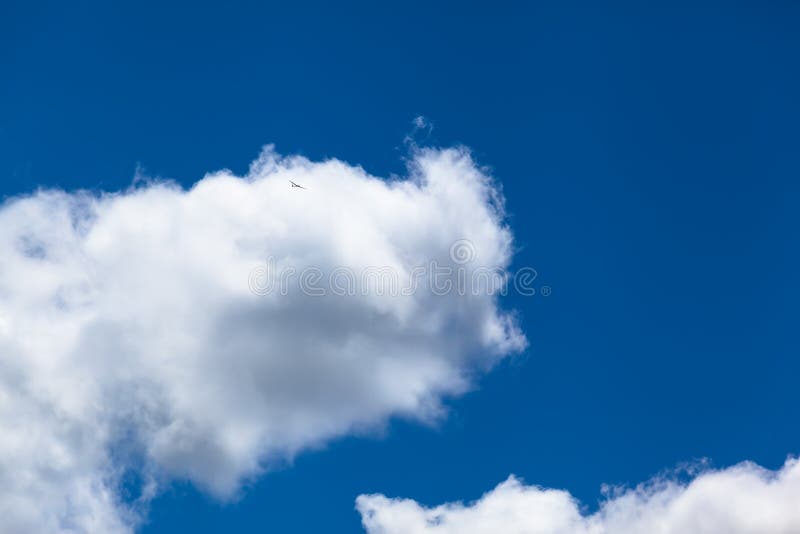 Freedom of Sky stock image. Image of outdoor, sailplane - 96017917