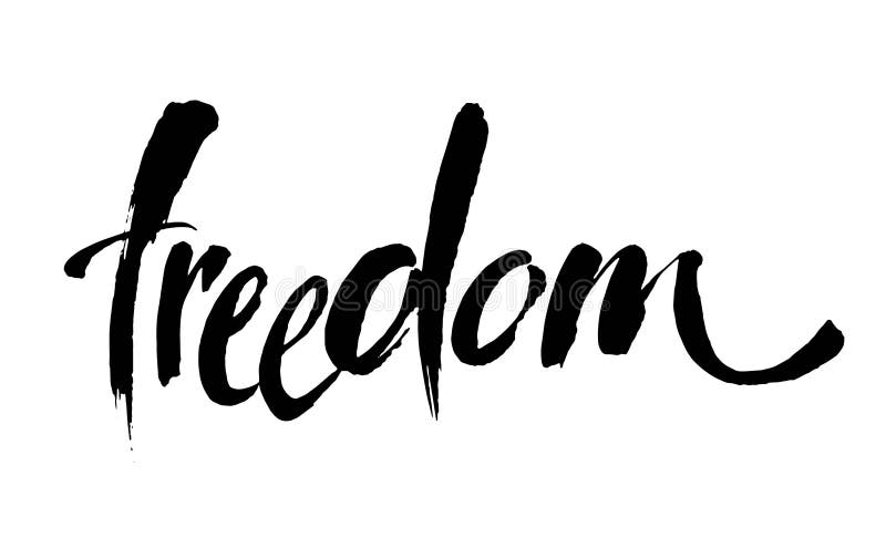 Freedom. Typographic Design. Ink Illustration. Modern Brush Calligraphy ...