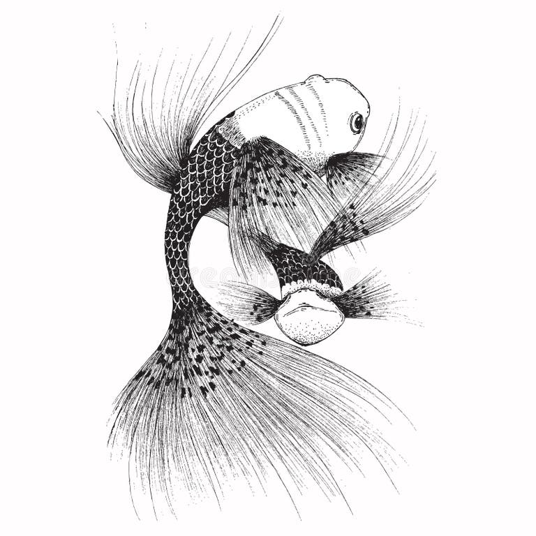 Freehand drawing stock vector. Illustration of beautiful - 51517820