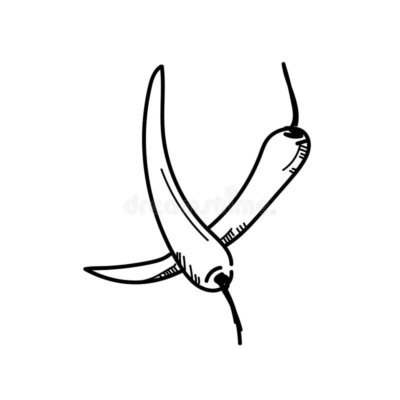 Freehand Drawing Illustration Chilli Stock Illustration - Illustration ...