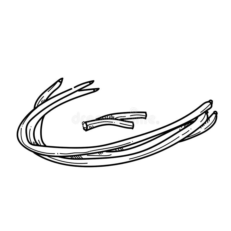 Bean Drawing Stock Illustrations – 15,314 Bean Drawing Stock ...