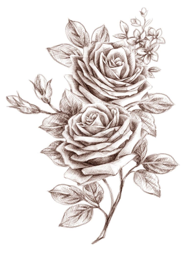 Freehand Drawing Stock Illustrations – 361,411 Freehand Drawing Stock ...