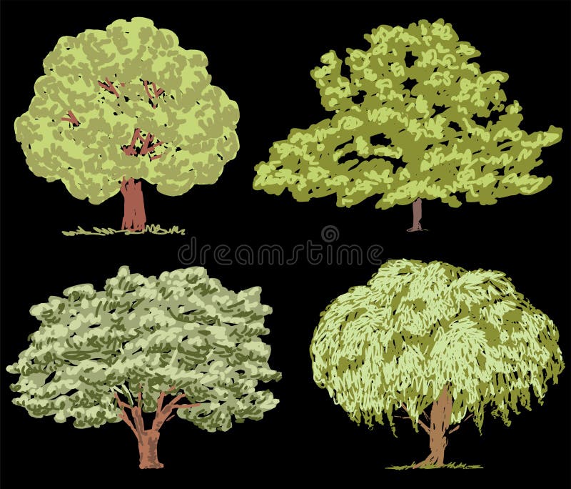 Drawings Trees Summer Stock Illustrations – 468 Drawings Trees Summer ...