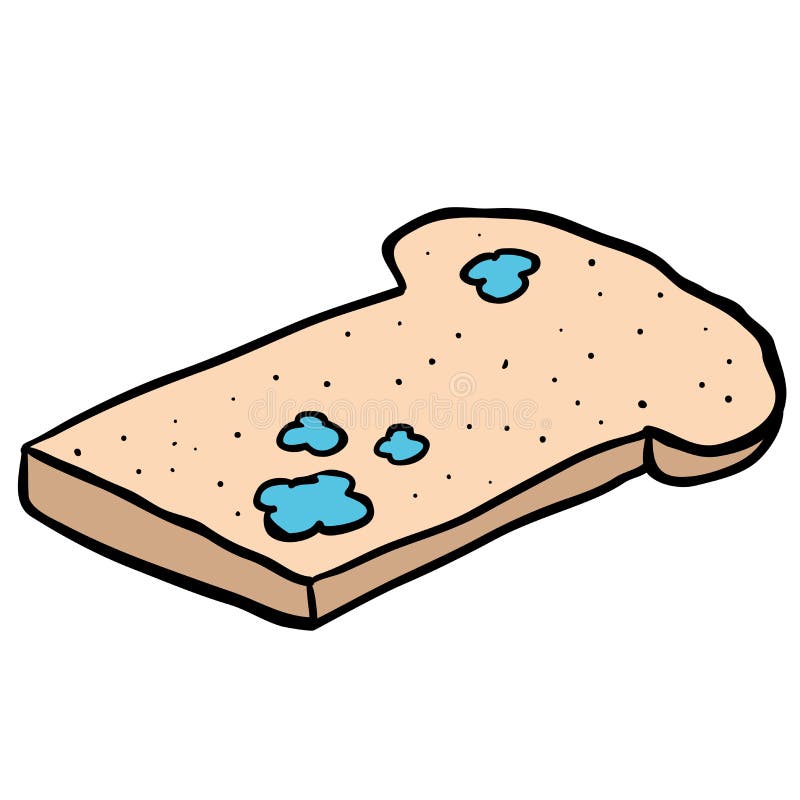 Freehand Drawn Cartoon Mouldy Bread Stock Vector - Illustration of hand ...