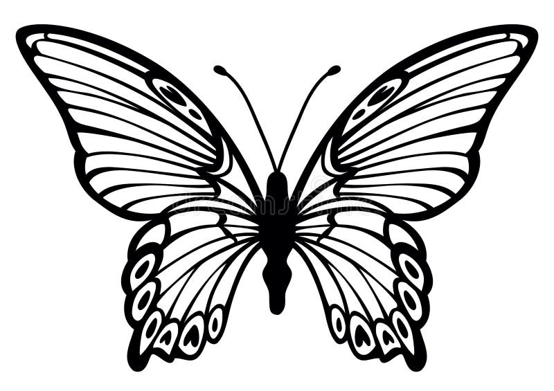 Simplified Stylized Lovely Butterfly Vector Outline Stock Vector ...
