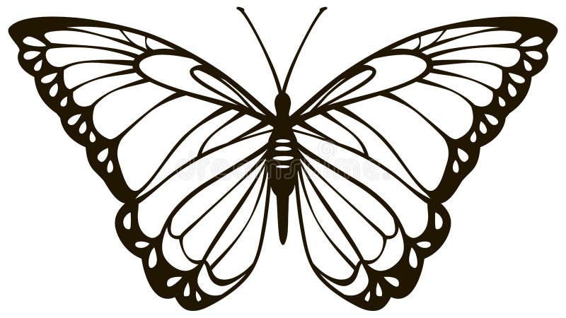 Simplified Stylized Lovely Butterfly Vector Outline Stock Vector ...