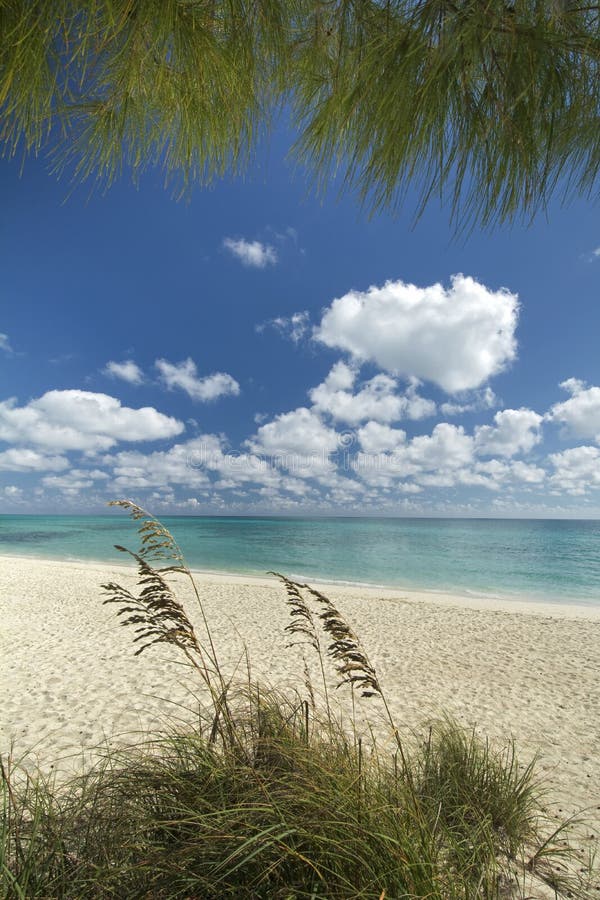 Freeport Beach, Grand Bahama Island Stock Photo - Image of relax ...