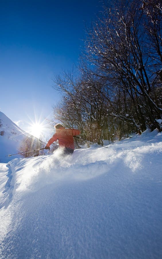 Freeride skier stock photo. Image of backcountry, alps - 17284408