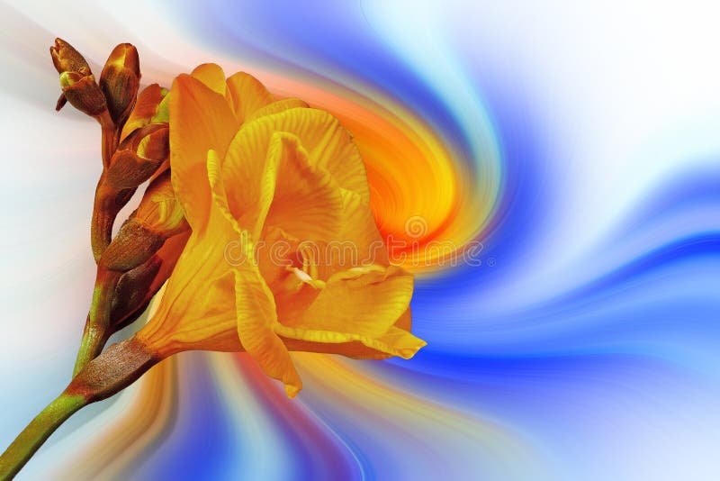 Freesi in Front of a Colorful Abstract Background Stock Illustration ...