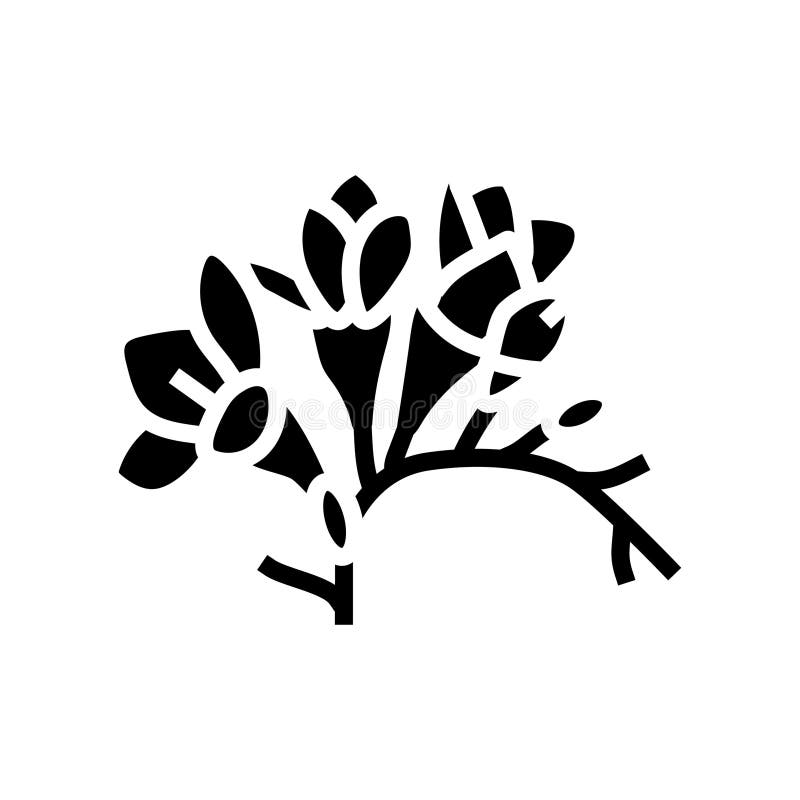 Freesia Flower Spring Glyph Icon Vector Illustration Stock Vector ...