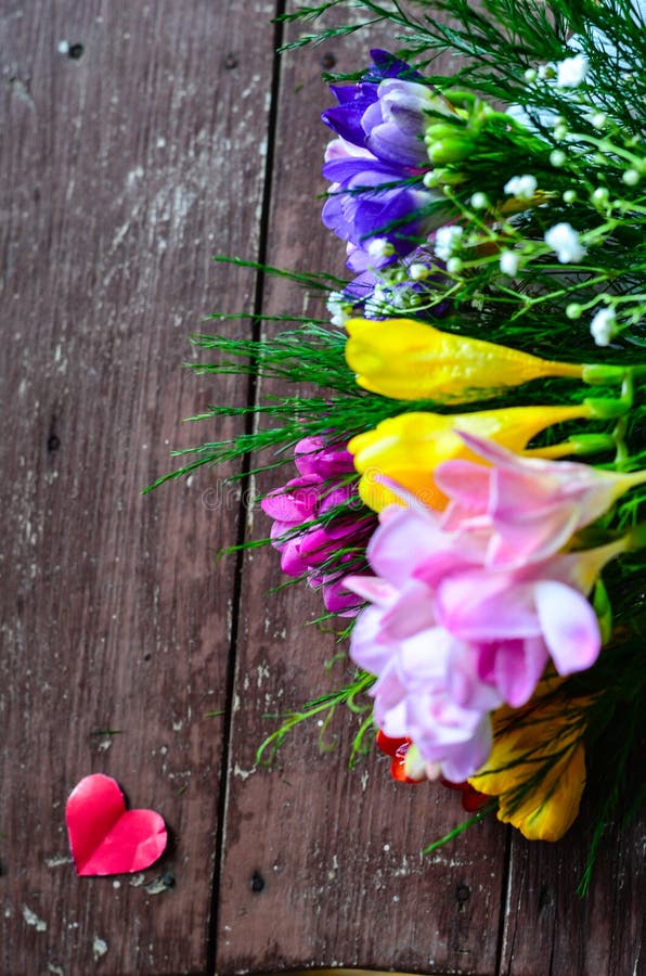 Freesia flowers stock image. Image of blossom, family - 69625471