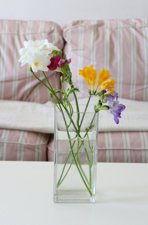 Freesias stock image. Image of freesia, present, decor - 87291367