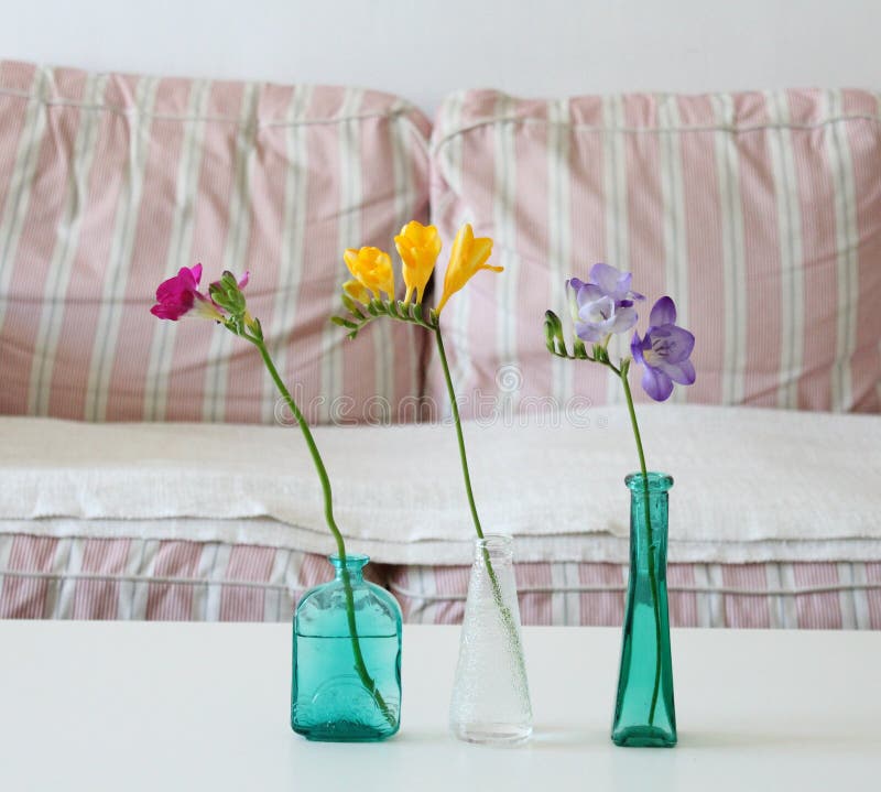 Freesias stock image. Image of gift, gardening, beautiful - 87291925