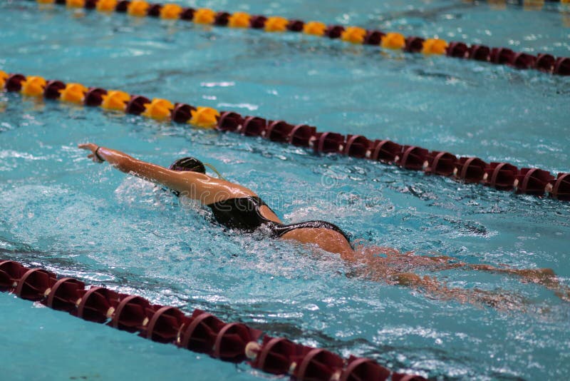 Freestyle Stroke at the Swimming Event Stock Photo - Image of butterfly ...