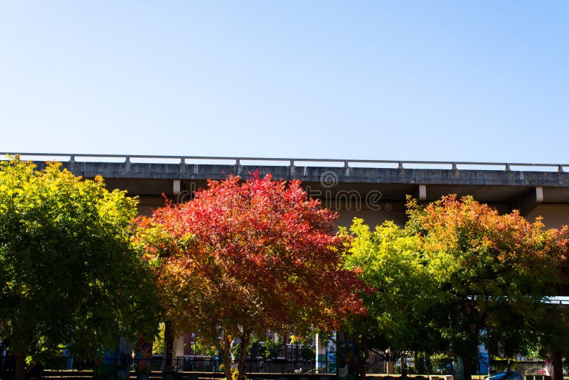 Freeway Fall stock image. Image of urban, freeway, fall - 46635399