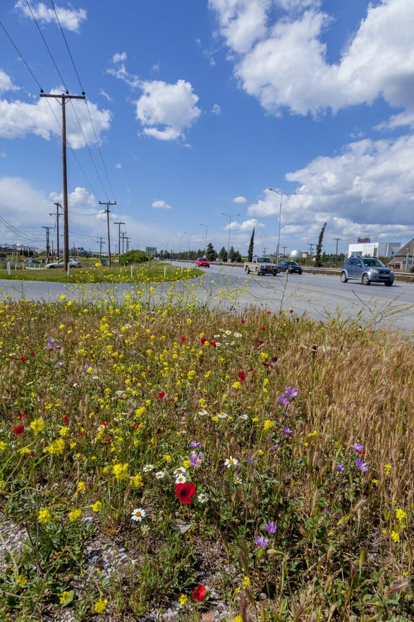 Freeway and Flowers on the Roadside Stock Image - Image of landscape ...