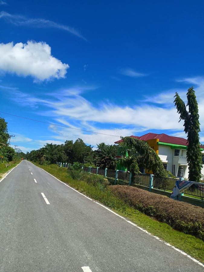 Freeway and plant stock photo. Image of highway, lane - 219409438
