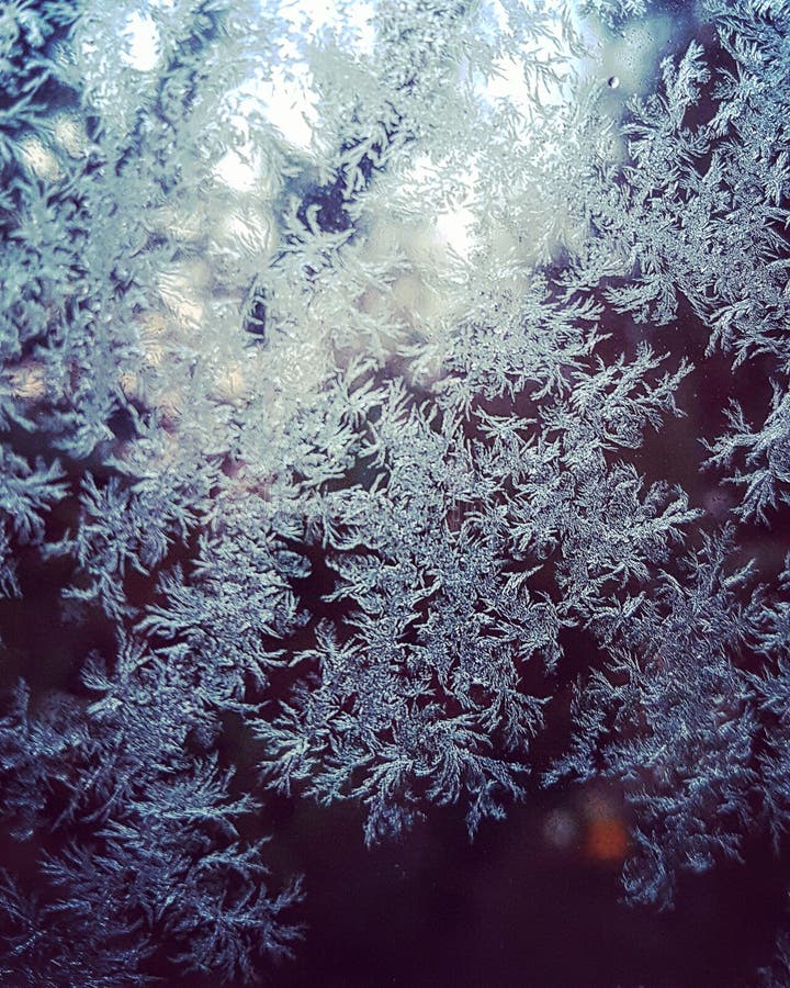 Freeze editorial photography. Image of frozen, freeze - 95842522