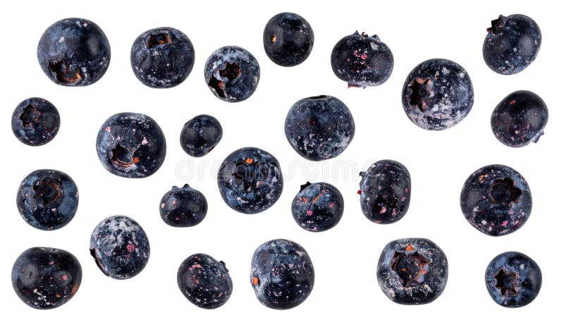 Multiple Blueberries Falling Transparent Background Stock Photos - Free ...