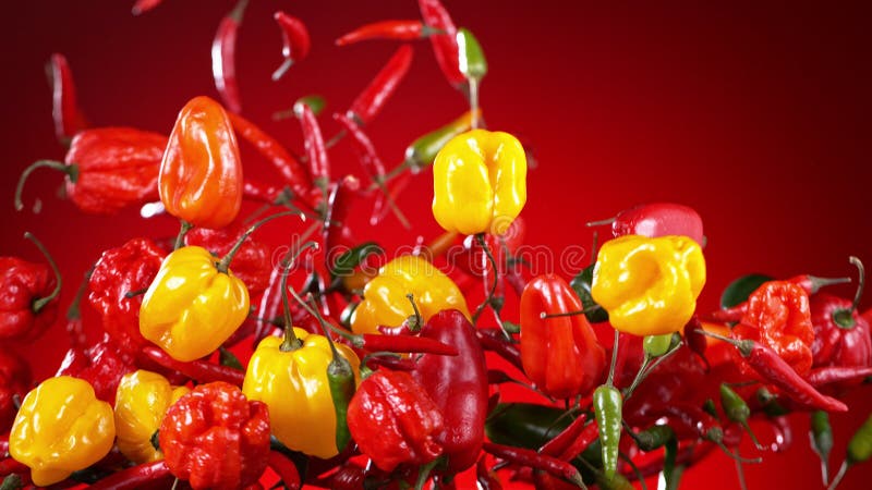 Freeze Motion of Flying Chilli Peppers on Red Background Stock Photo ...