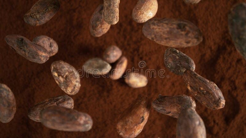 Freeze Motion of Flying Group of Cocoa Beans Stock Image - Image of ...