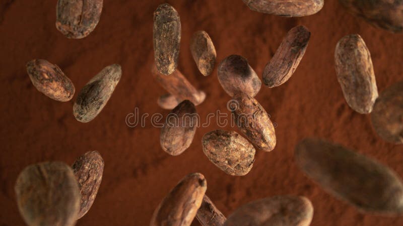 Freeze Motion of Flying Group of Cocoa Beans Stock Photo - Image of ...