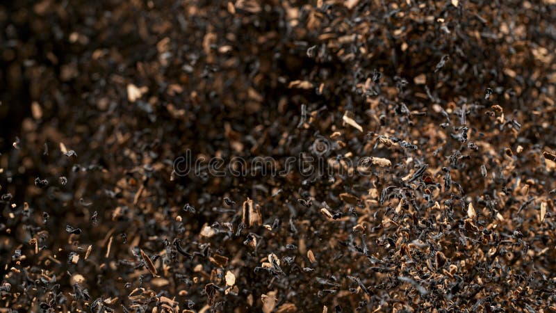 Freeze Motion Shot of Exploding Dry Tea Leaves. Stock Image - Image of ...