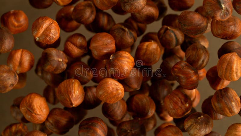 Freeze Motion Shot of Flying Hazelnuts, Stock Illustration ...