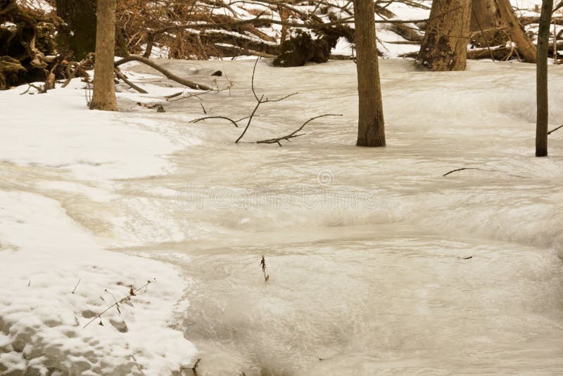 Freeze and Thaw Thick Ice in Forest Stock Image - Image of encroaching ...
