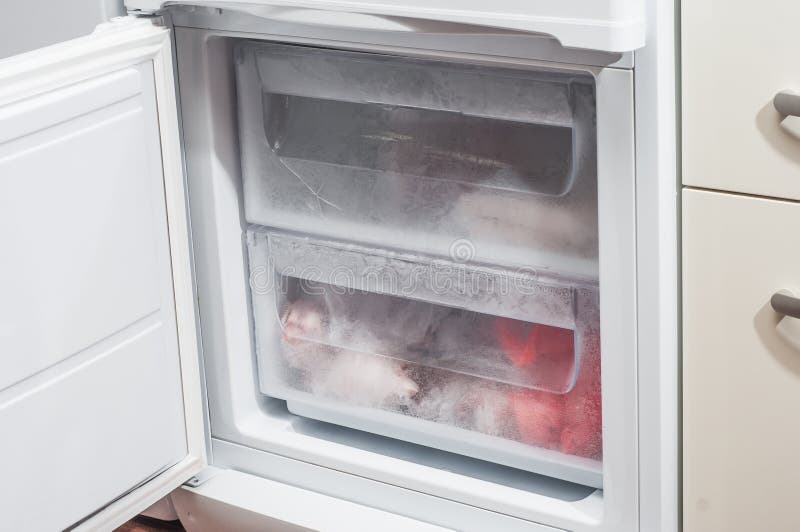 The Freezer Filled with Multi-colored Useful Products and Vitamins for ...