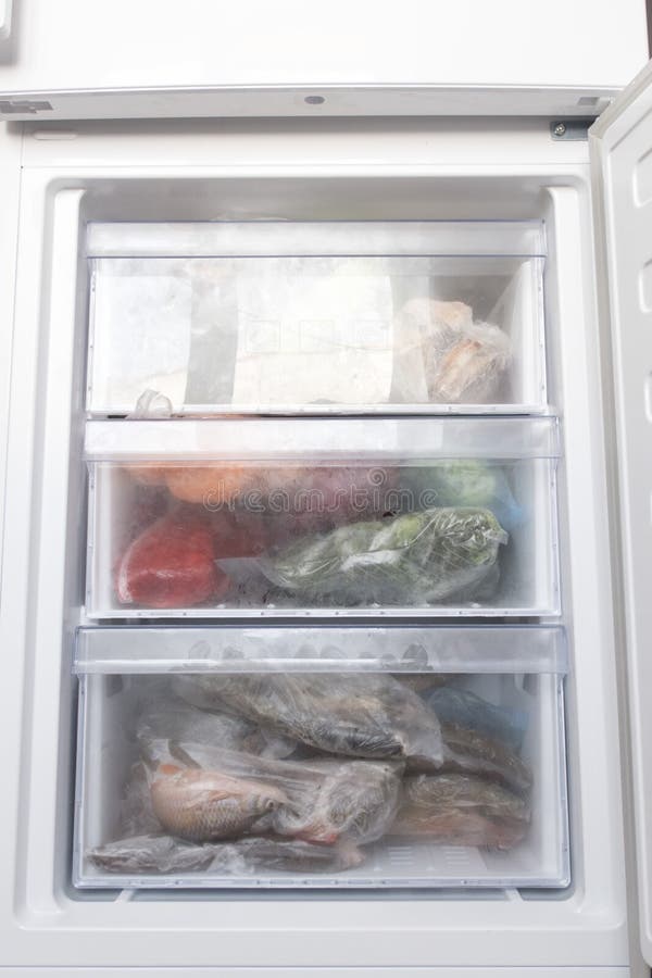 Freezer refrigerator stock image. Image of freezer, frozen - 131648741