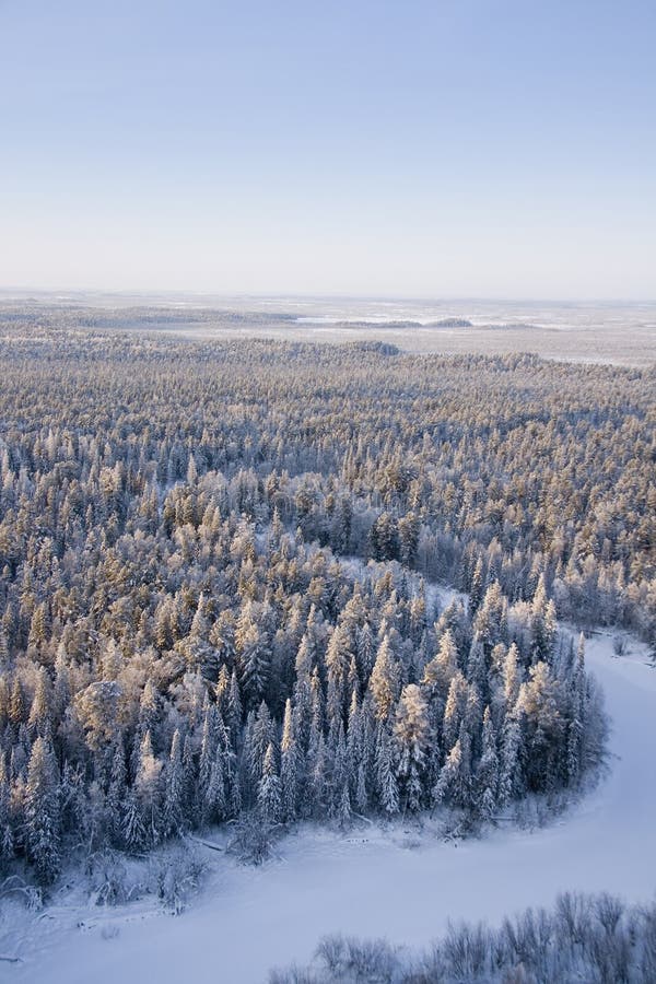 Freezing day stock image. Image of bough, winter, landscape - 3507075