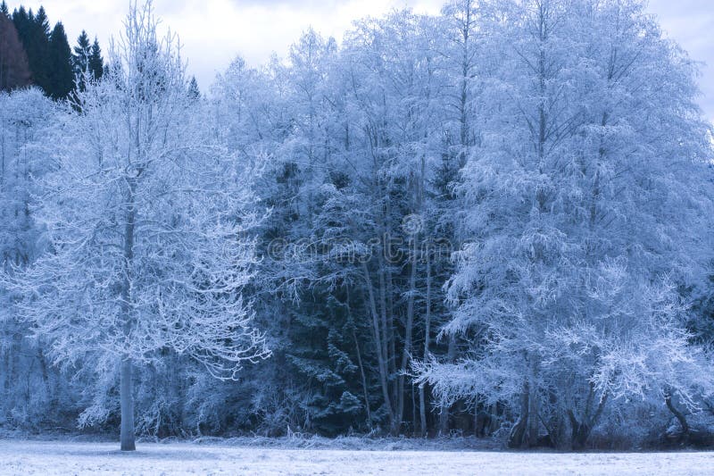 An Intense Cold after a Heavy Snowfall Stock Photo - Image of flows ...